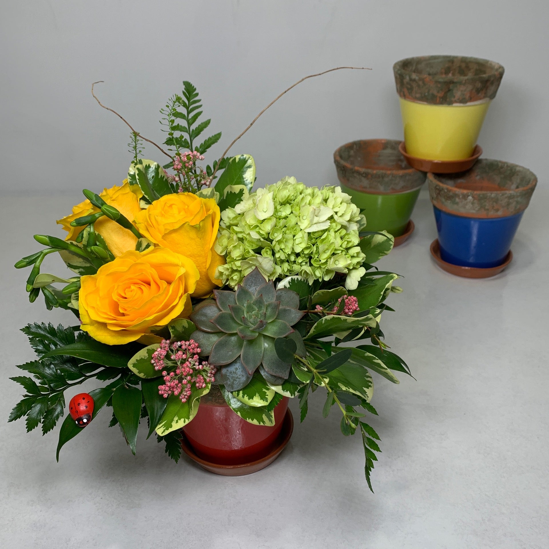 flowers | Flower Fashions on King