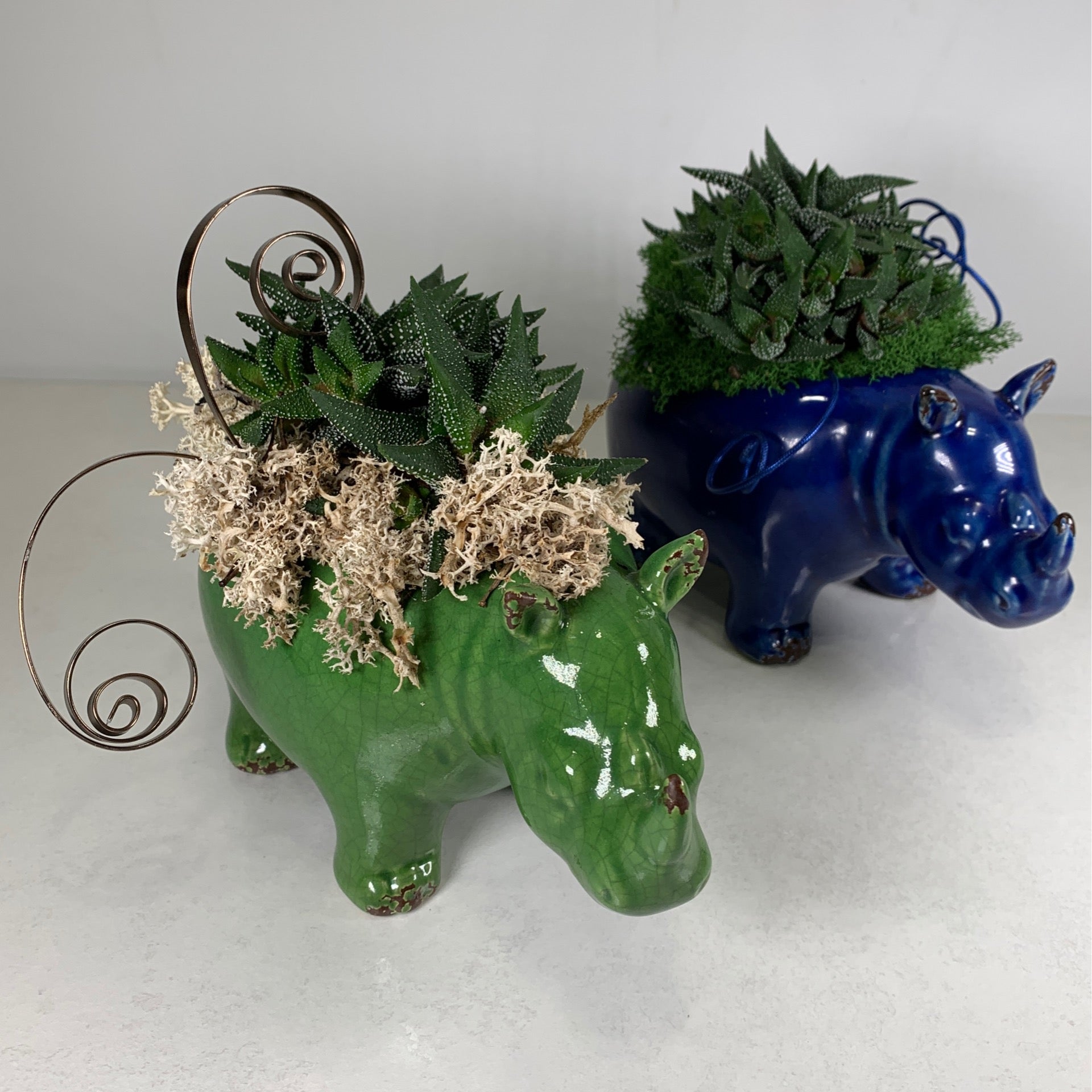 Rhino Sorus | Flower Fashions on King